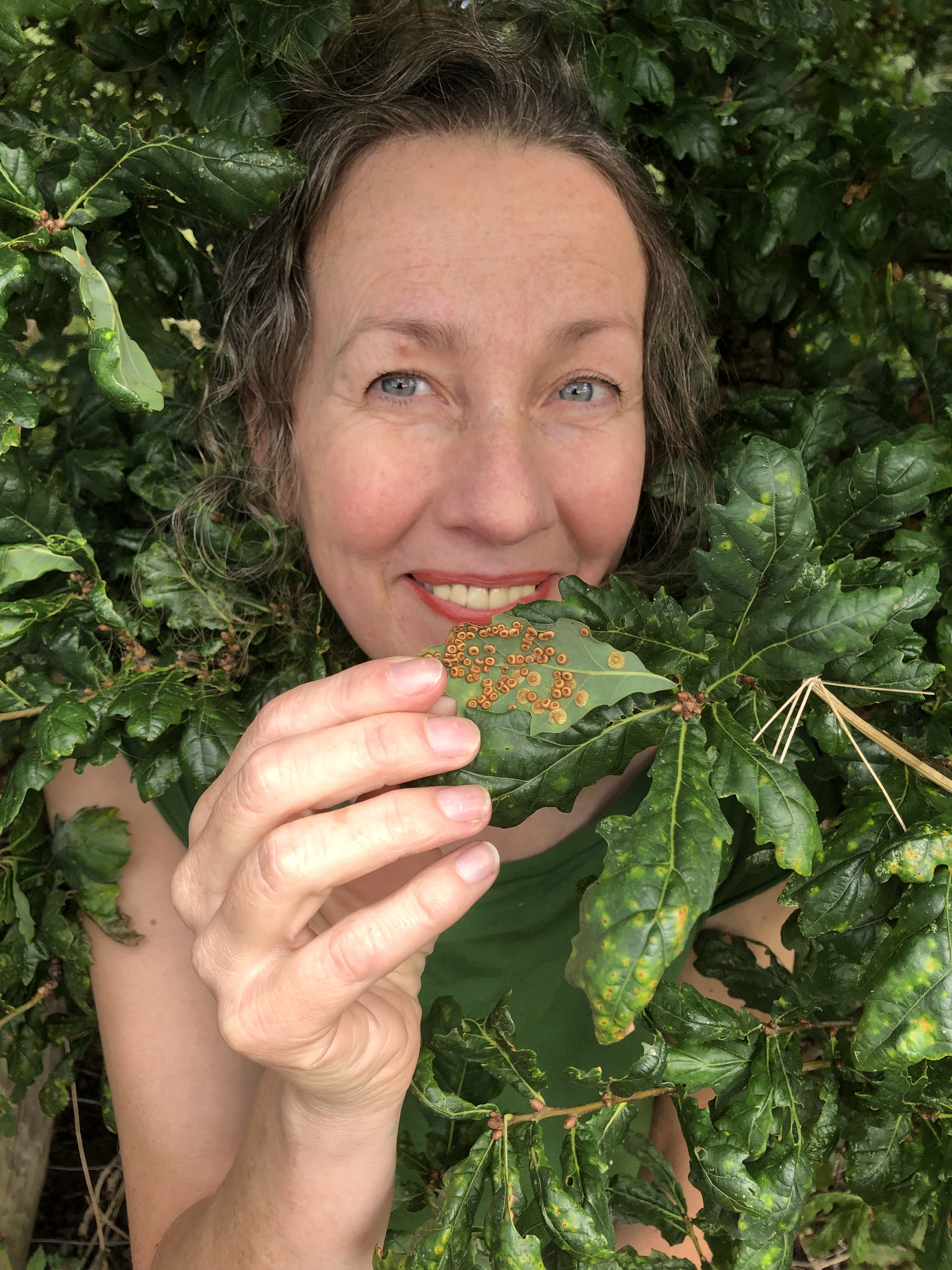 From small acorns grows Jules Acton’s mighty Oaklore – The Book Insider